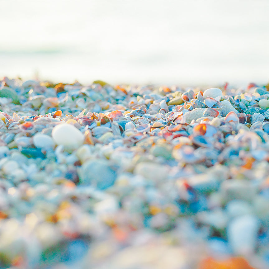 Pebbles and shells – Mark MacKinnon Photography