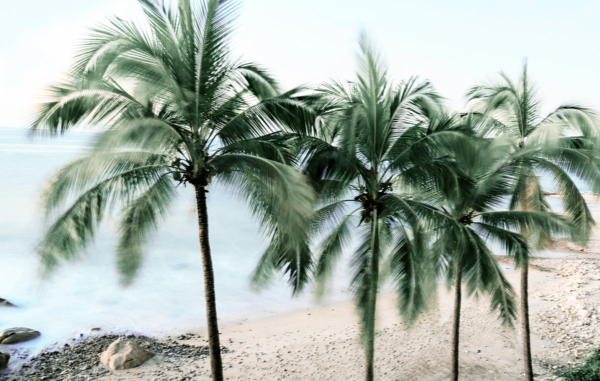 4 Palms Puerto Vallarta – Mark MacKinnon Photography
