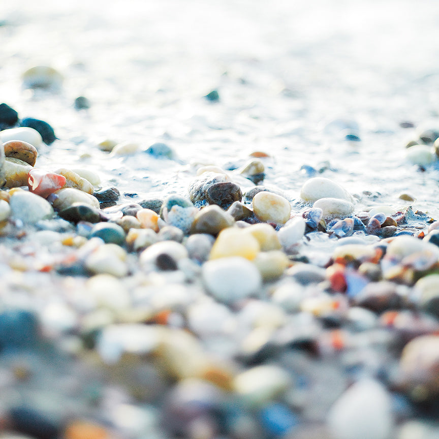 Pebbles and shells – Mark MacKinnon Photography